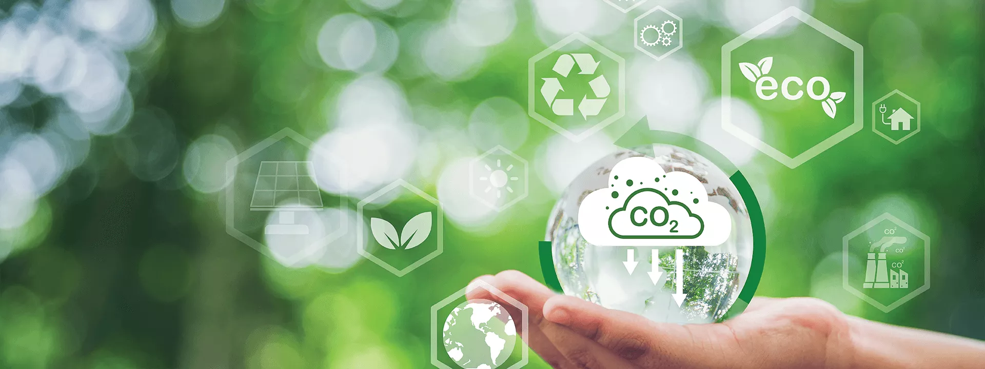 PLC Carbon | Brother Indonesia